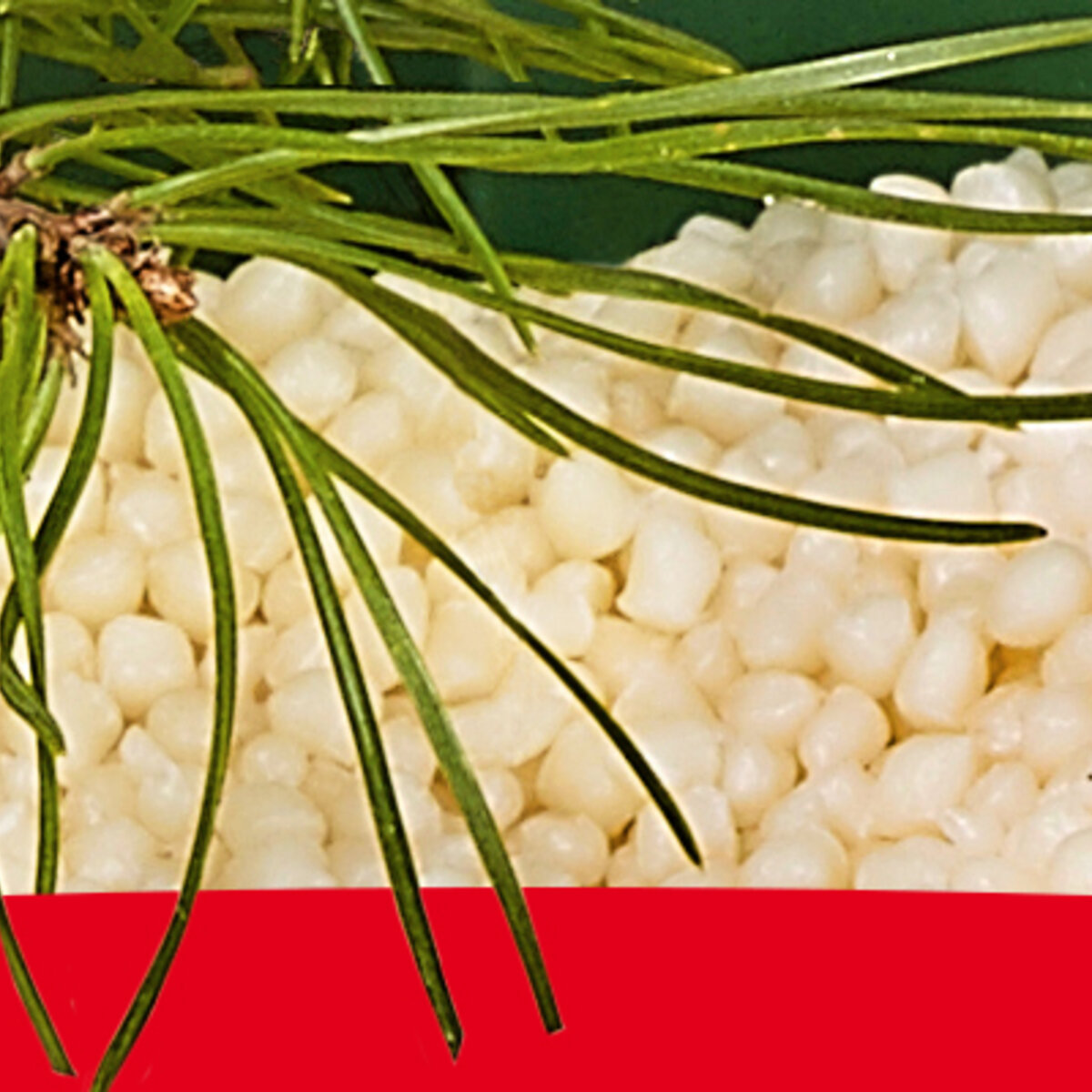 Mitä tarkoittaa biomuovi? | Treston